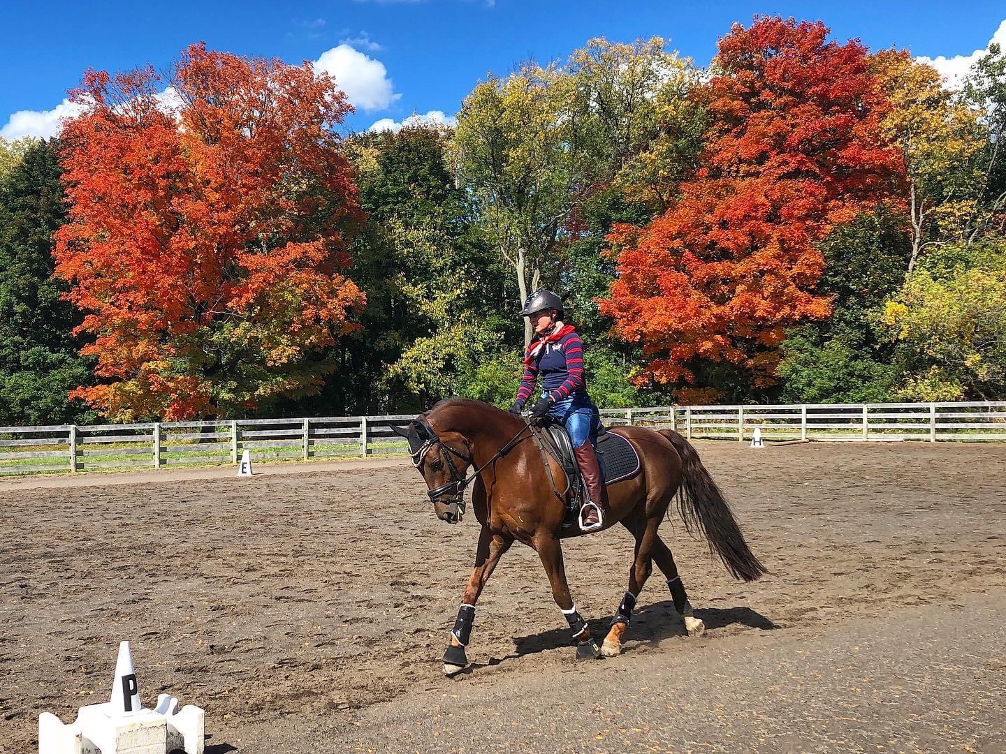 Movements in Movements – The Modern Morgan