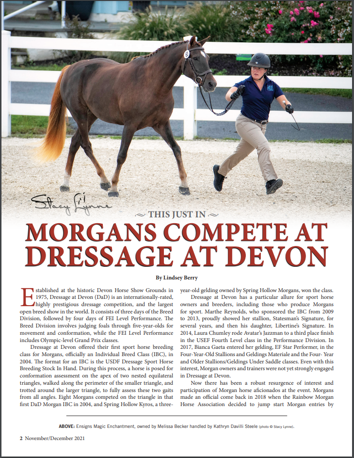 TMH November/December 2021 Article – The Modern Morgan